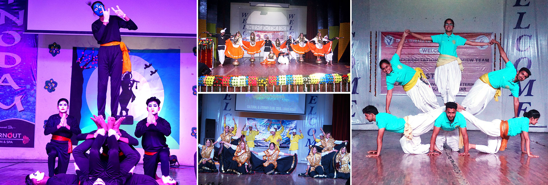 Lala Lajpat Rai University of Veterinary & Animal Sciences (LUVAS)